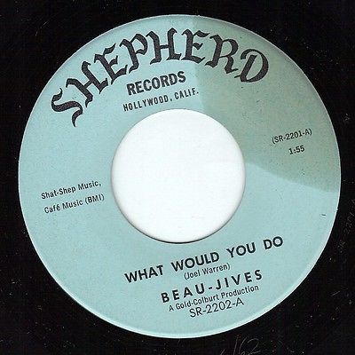 popsike.com - PRIVATE DOO-WOP 45 What Would You Do/I'll Never Be The ...