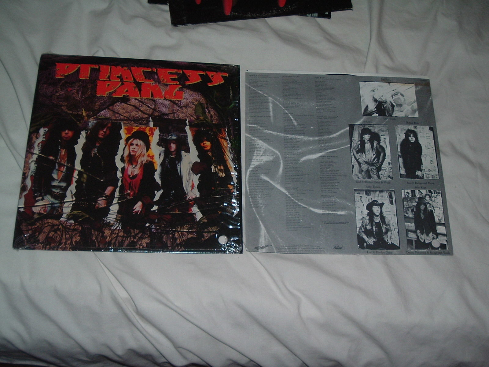 popsike.com - PRINCESS PANG Princess Pang '89 LP HAIR metal ORIG US ...