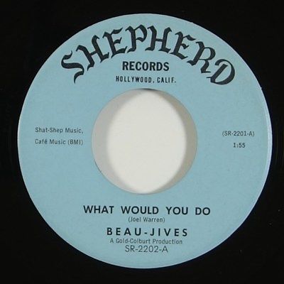 popsike.com - Beau-Jives "What Would You Do" R&B Doo Wop 45 Shepherd ...