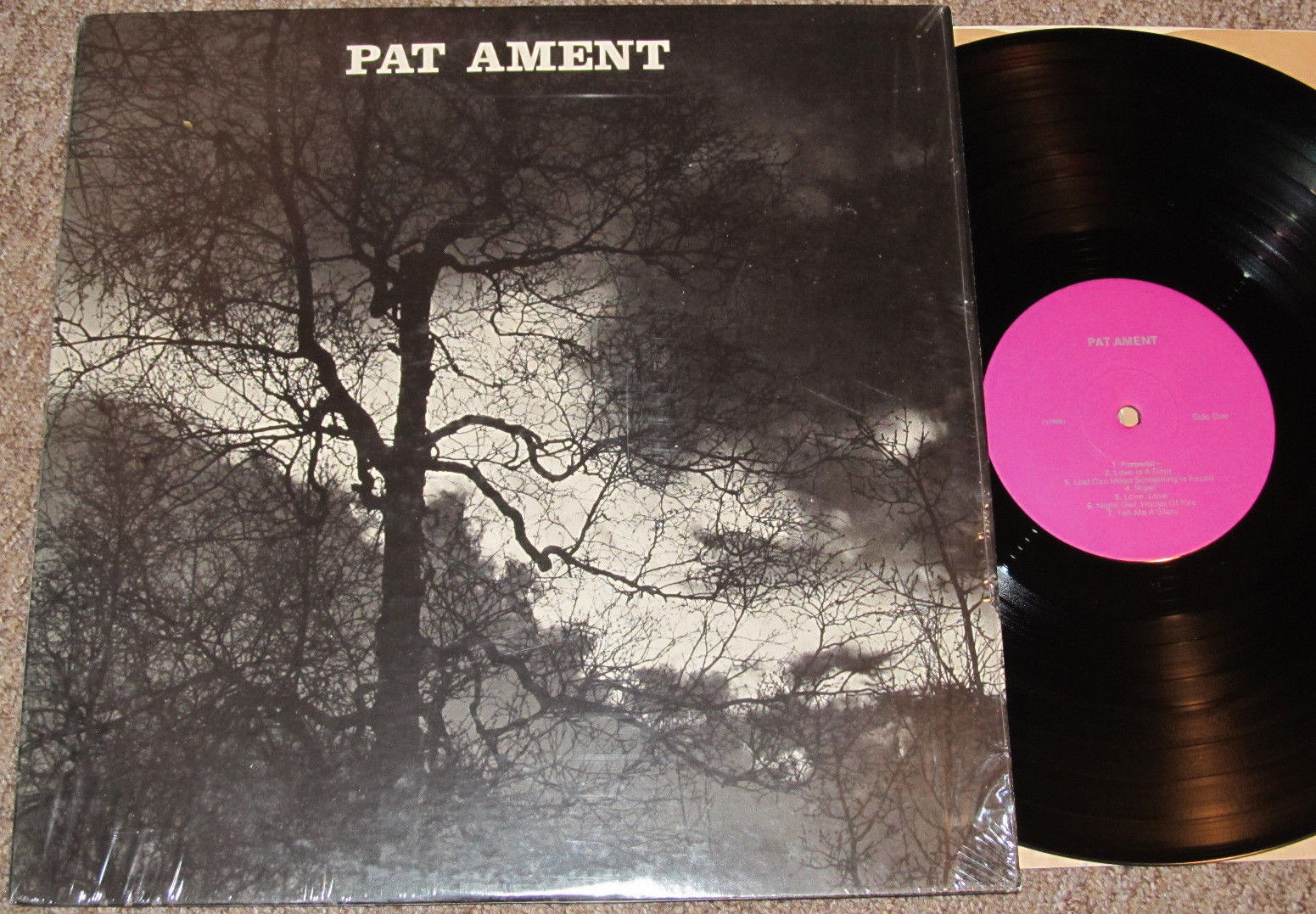 popsike.com - PAT AMENT-Songs 1971 PRIVATE PRESS SSW LONER DOWNER FOLK ...