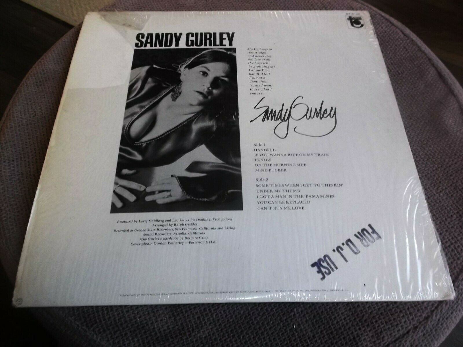 popsike.com - 1968 Sandy Gurley And The San Francisco Bridge LP Psych ...