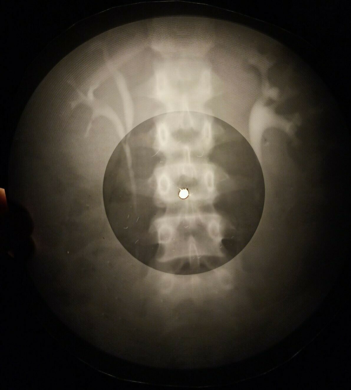 popsike.com - Doors - Summer's Almost Gone X-RAY OF THE USSR X-RAY BONE ...