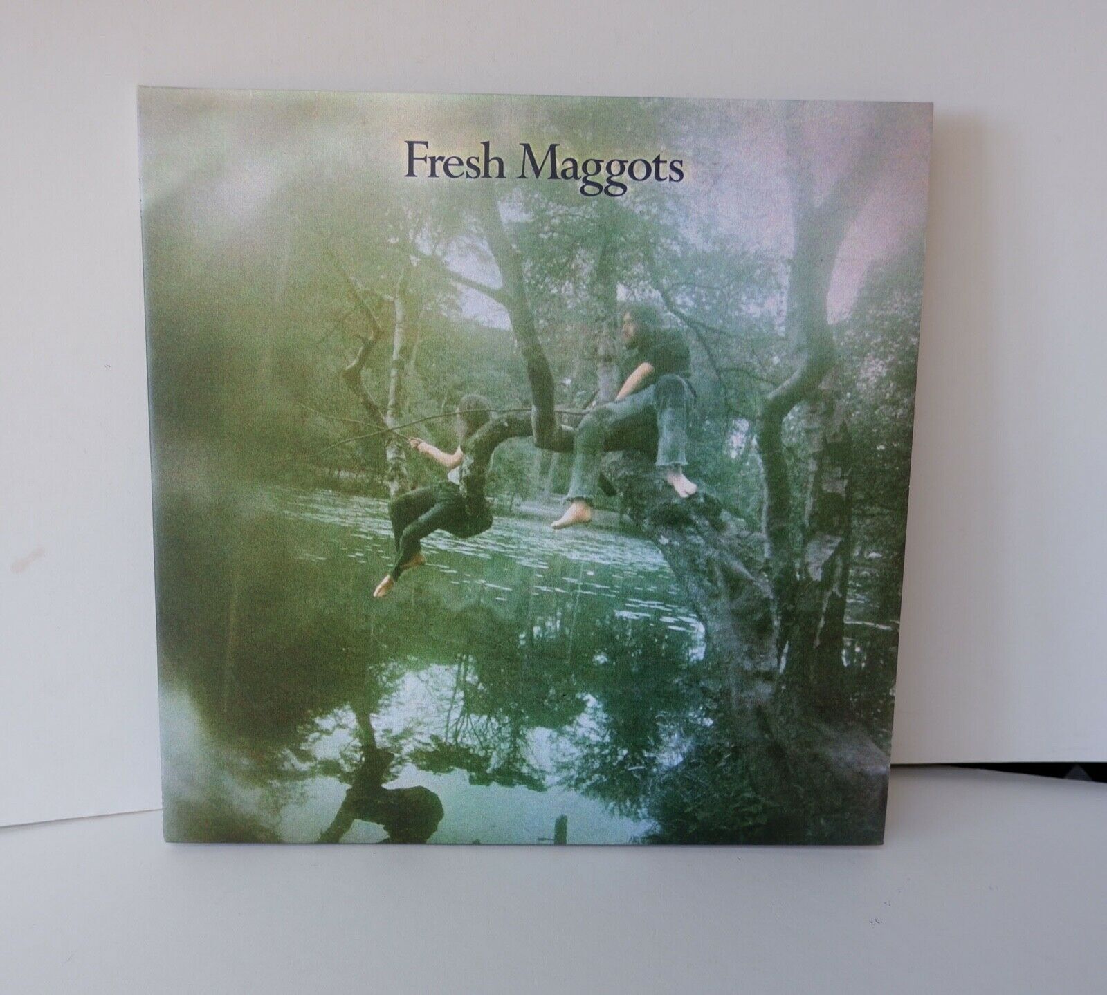 popsike.com - LP Fresh Maggots Fresh Maggots Hatched Label Sunbeam ...