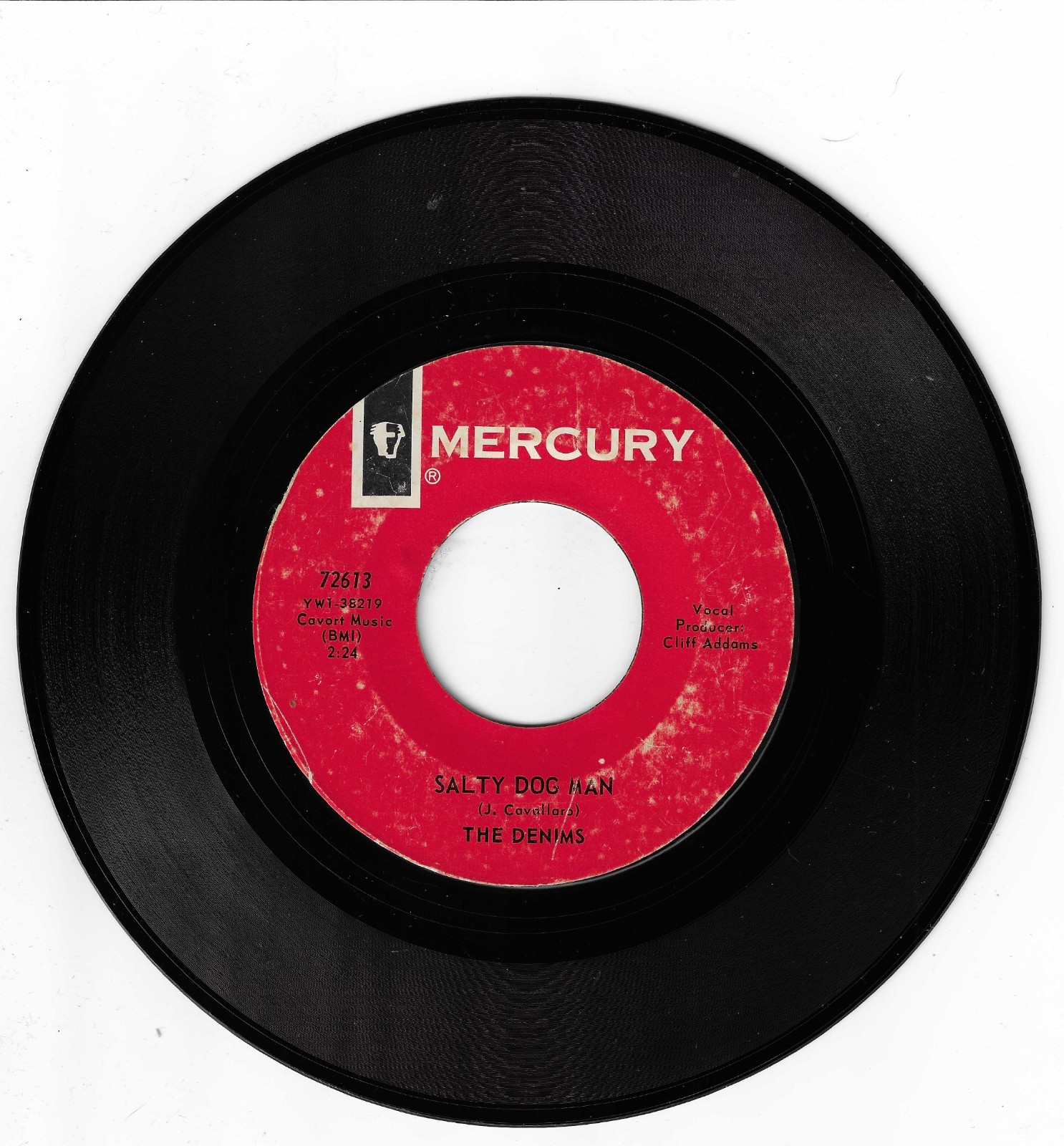 popsike.com - GARAGE 45 RPM- THE DENIMS - MERCURY RECORDS " WHITE SHIP ...