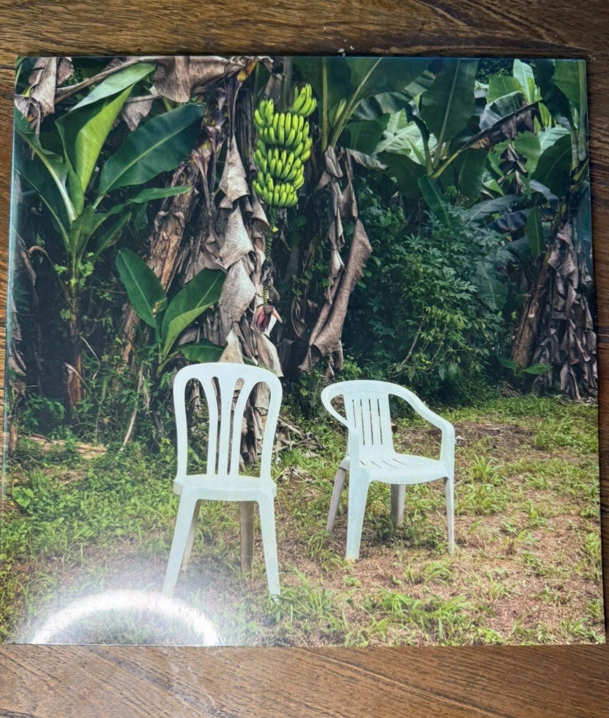 popsike.com - Bad Bunny “Debi Tirar Mas Fotos” DTMF Vinyl Vinilo ...