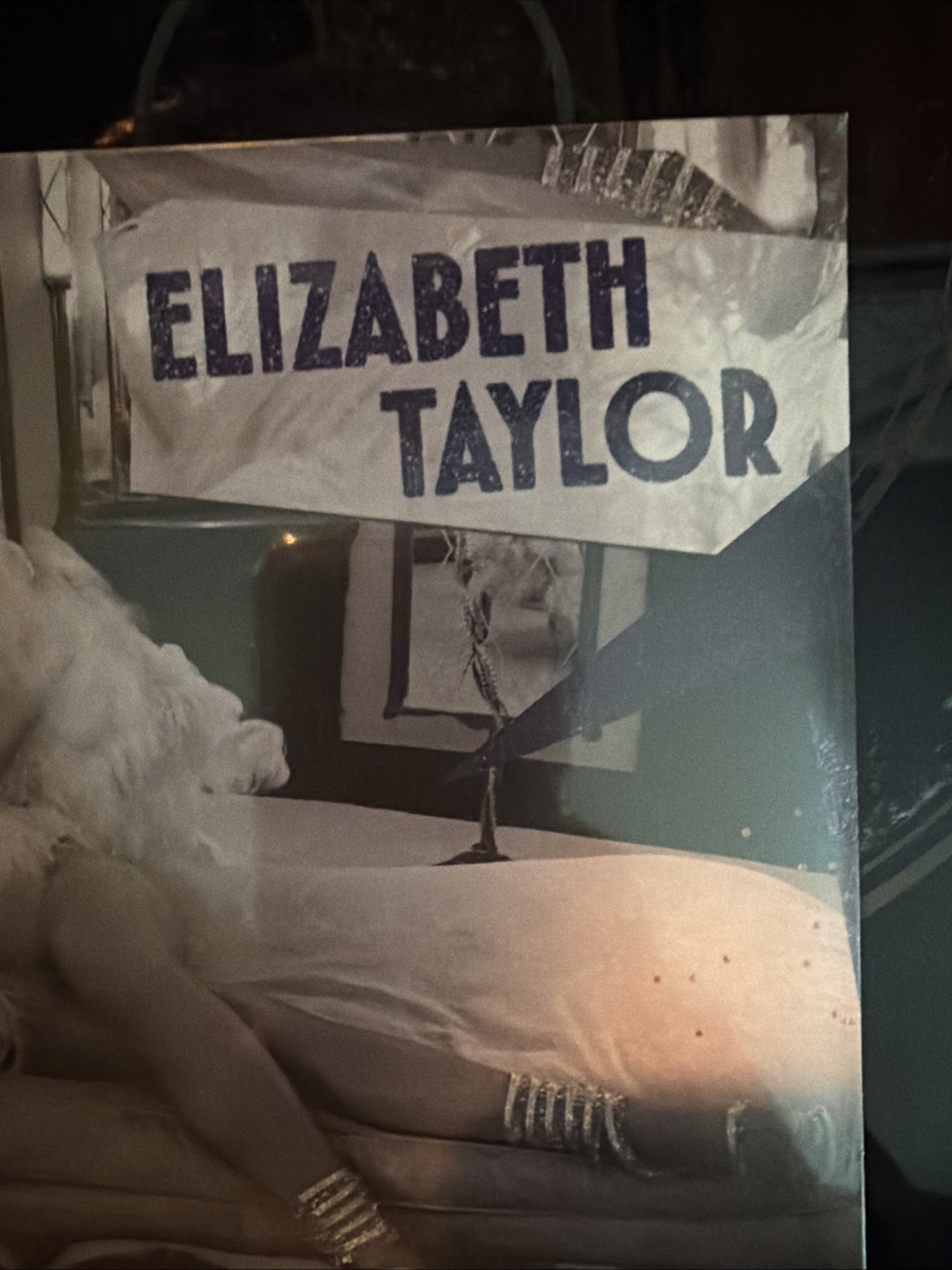 popsike.com - Taylor Swift Elizabeth Taylor 7 " Purple Glitter Vinyl ...